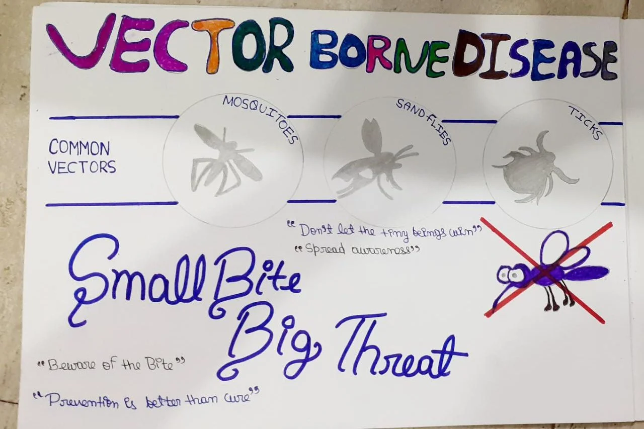 Vector Borne Diseases Vector Borne Diseases Archives Climate Program